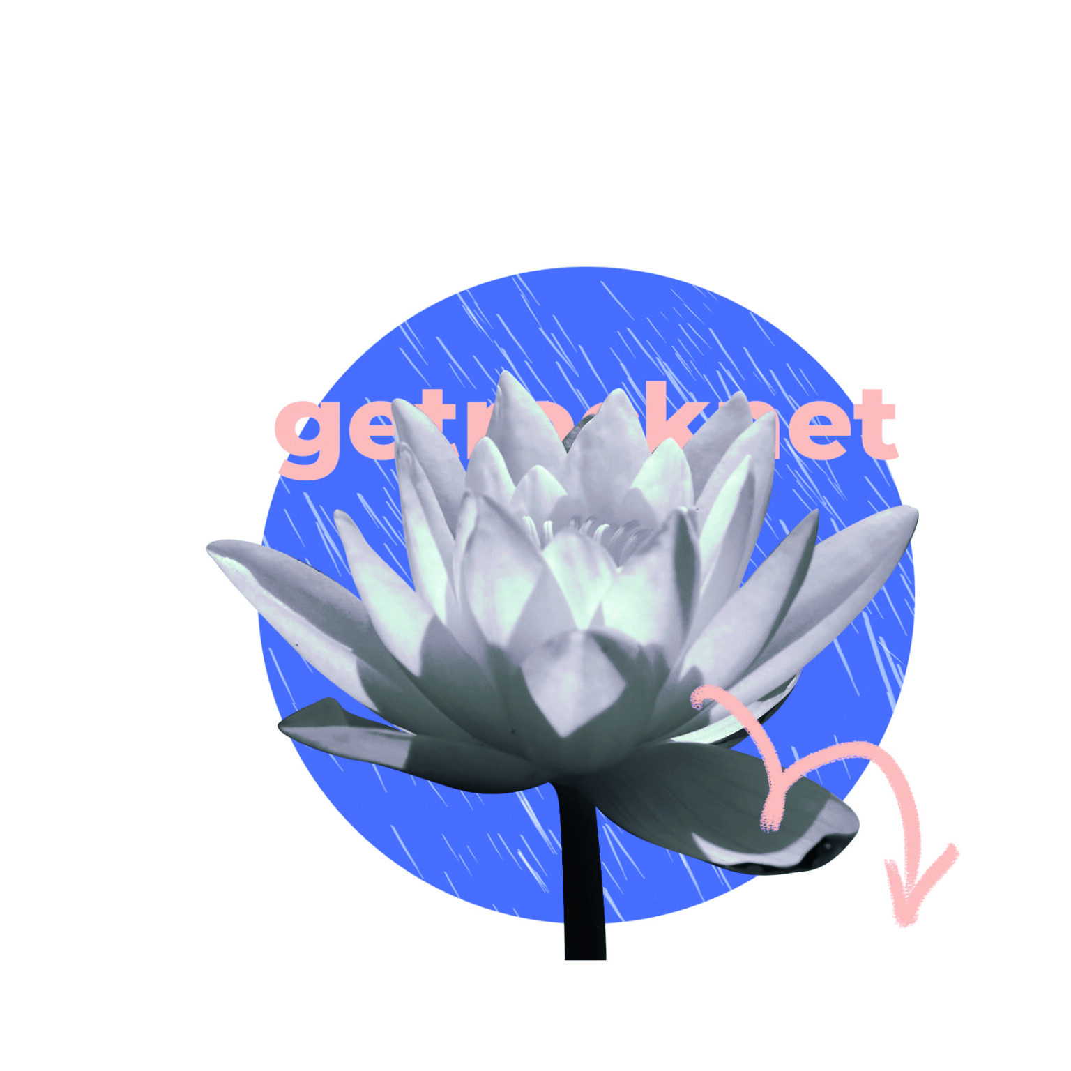 Biomímesis: diez ejemplos en los que imitamos a la naturaleza | Ethic