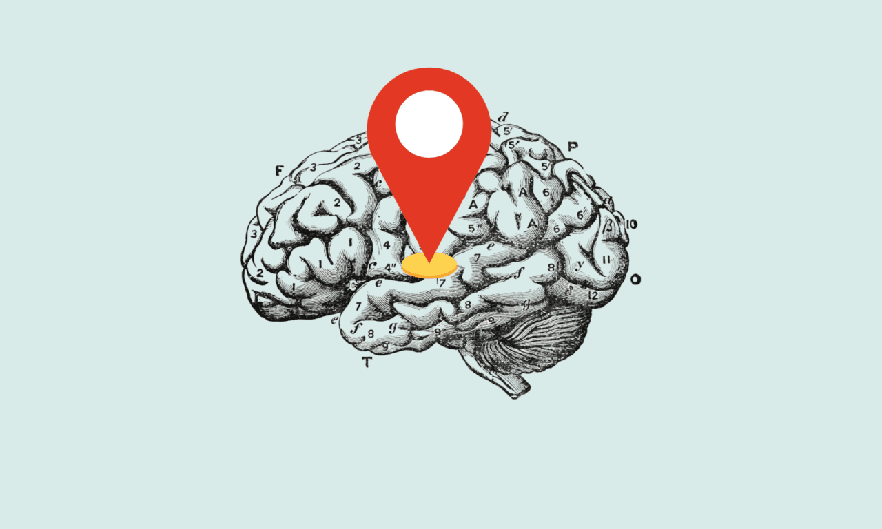 Cartografía de la mente humana | Ethic