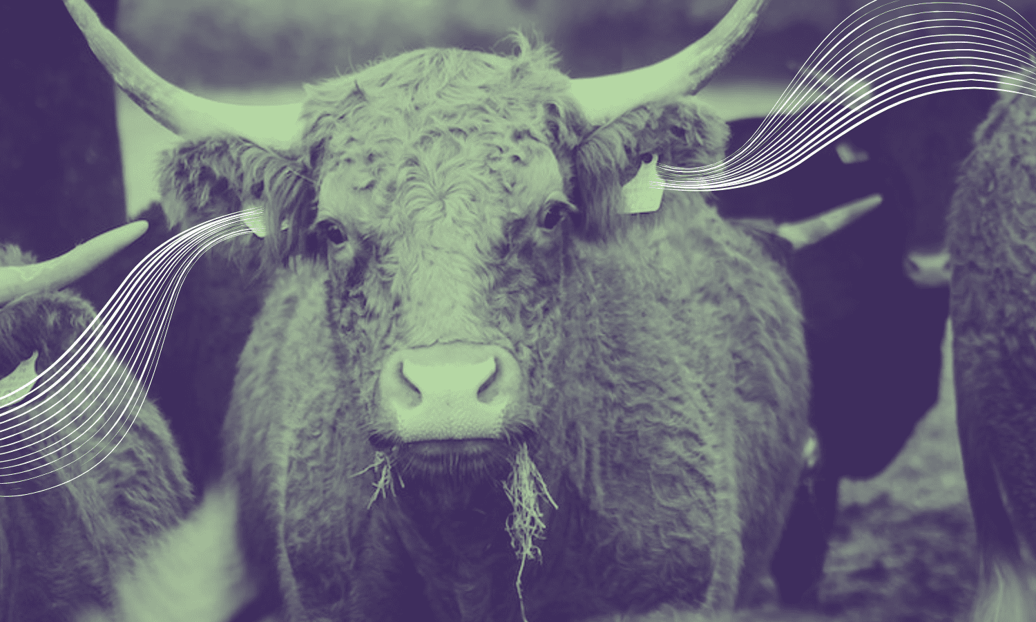 Consejos para dejar de rumiar en exceso | Ethic