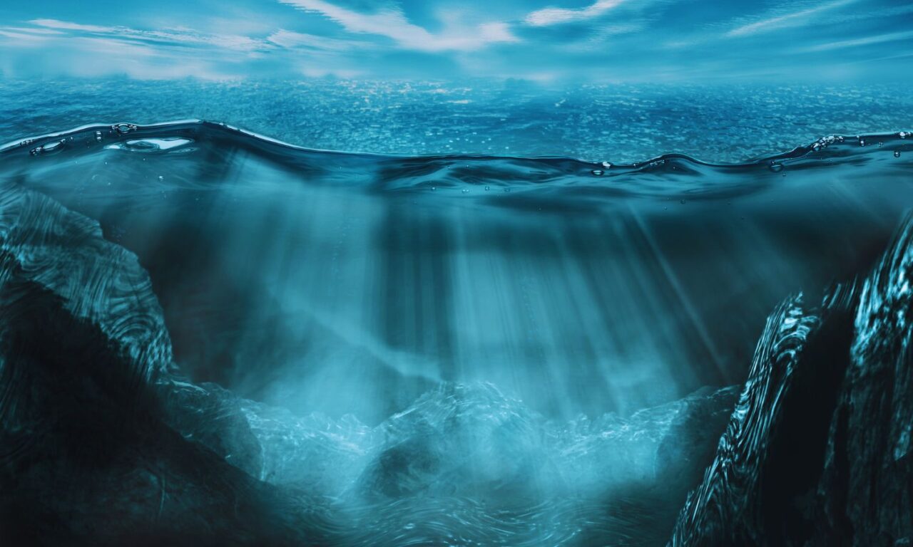 Olas de calor marinas: El océano se sofoca | Ethic